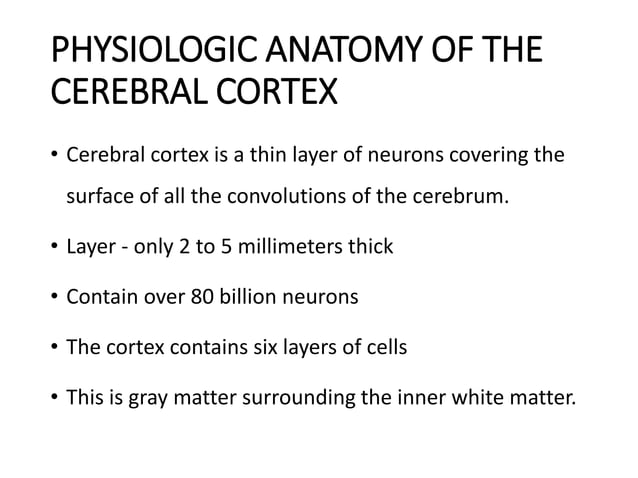Cerebral cortex & its components | PPT
