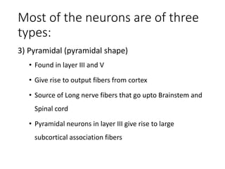 Cerebral cortex & its components | PPTX