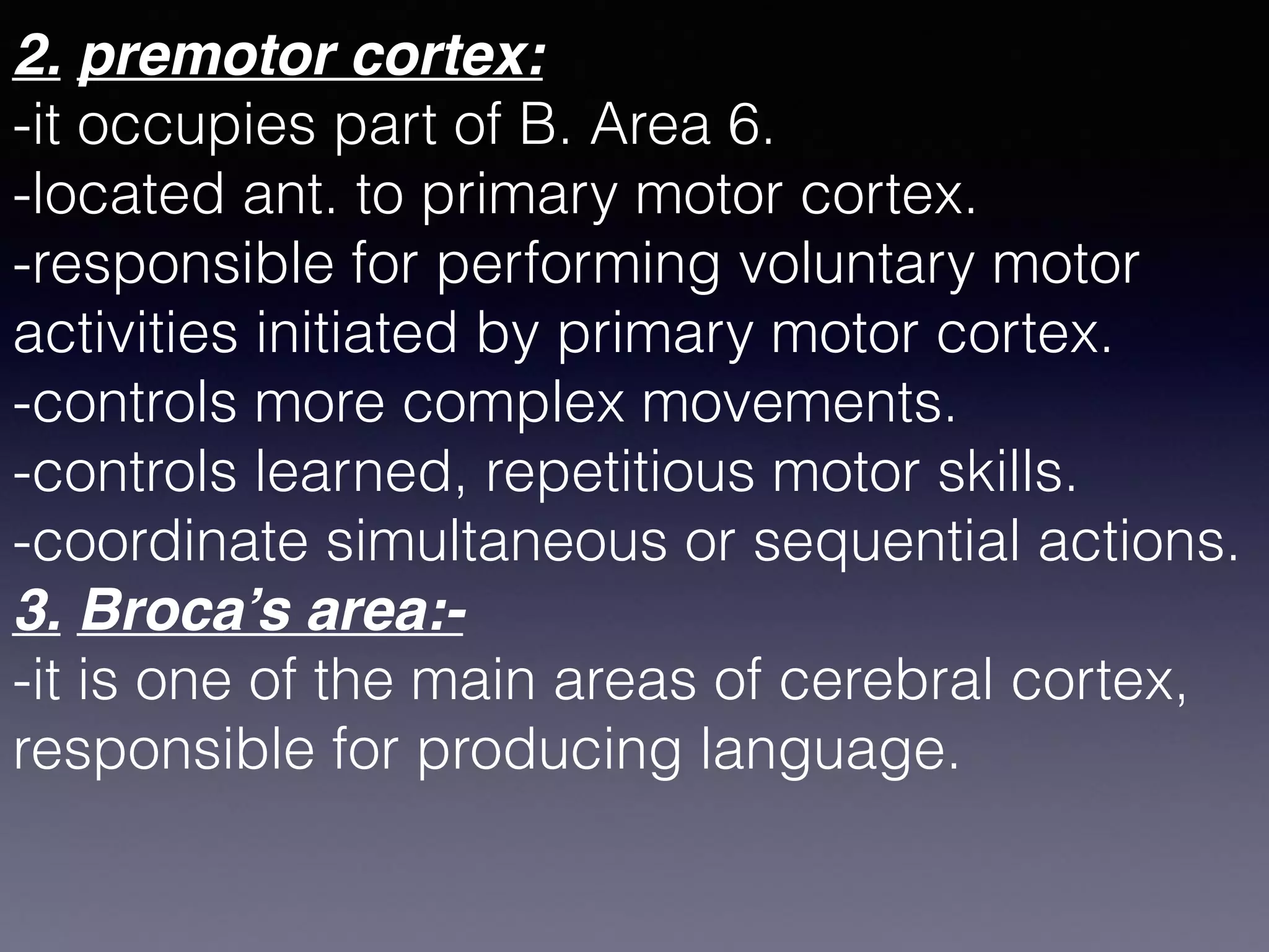 Cerebral cortex ppt | PDF