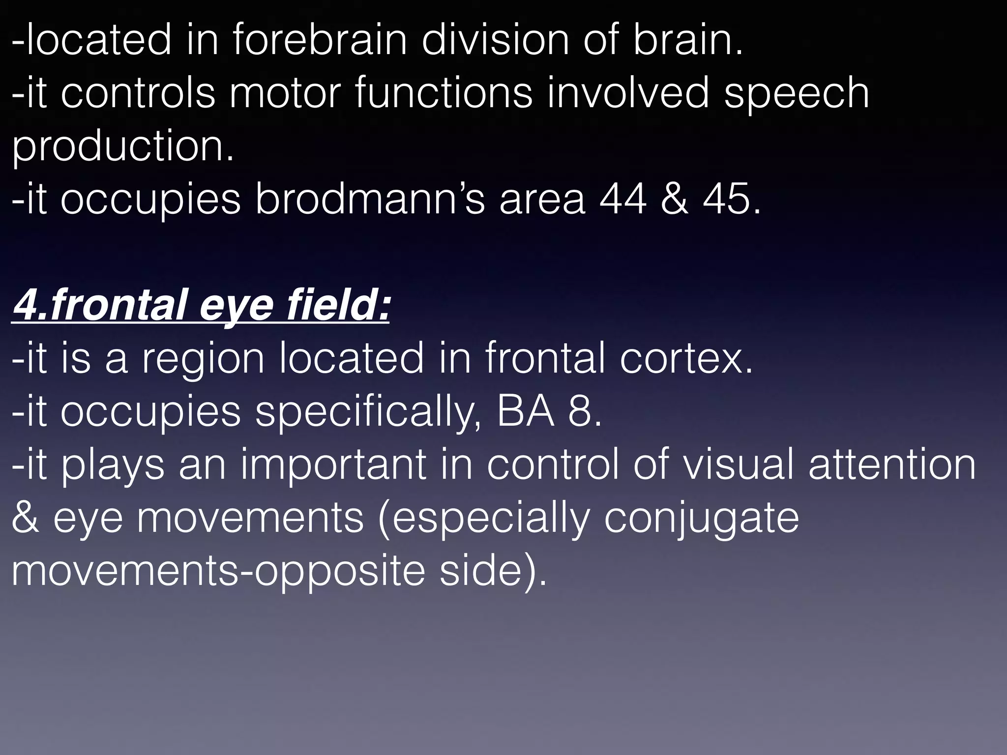 Cerebral cortex ppt | PDF