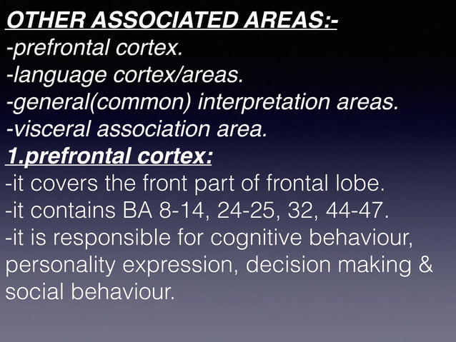 Cerebral cortex ppt | PPT