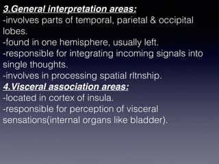 Cerebral cortex ppt | PDF