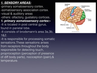 Visual Association Cortex