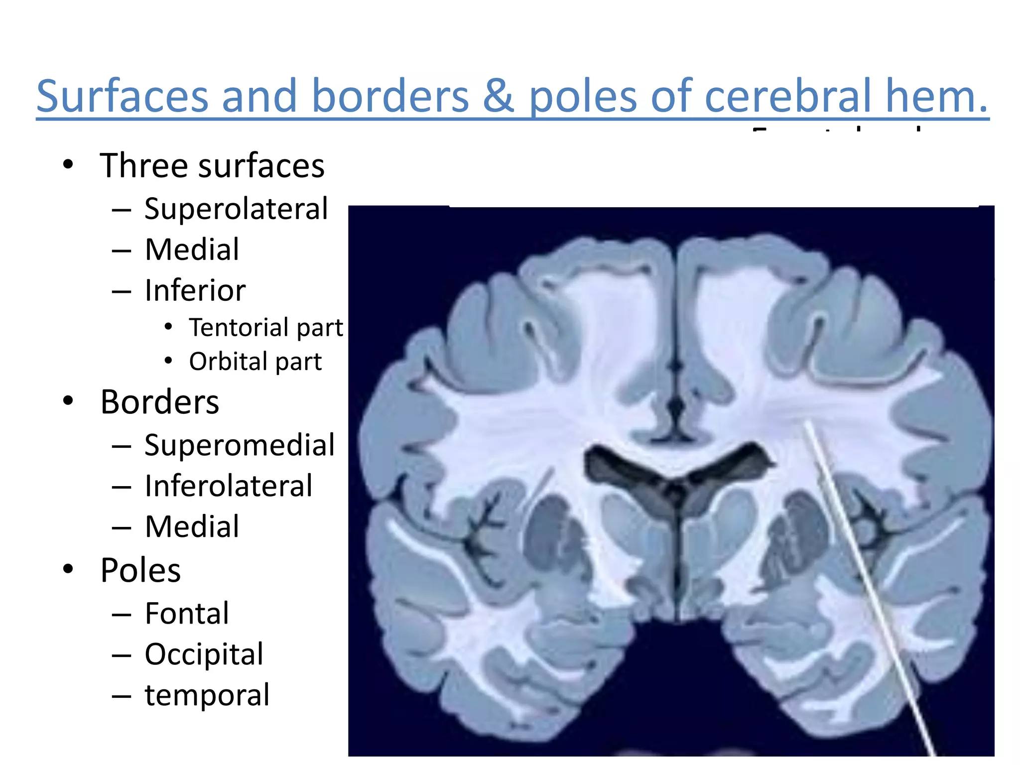 CEREBRAL CTX.pptx