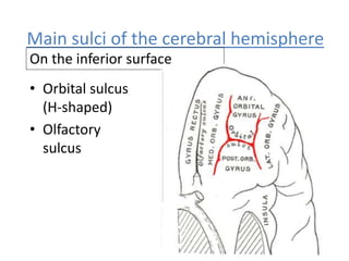 CEREBRAL CTX.pptx
