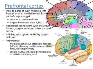 CEREBRAL CTX.pptx