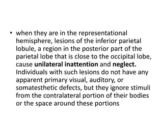 Cerebral dominance and its pathophysiology.pptx