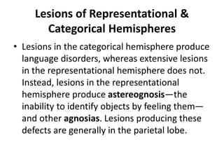 Cerebral dominance and its pathophysiology.pptx