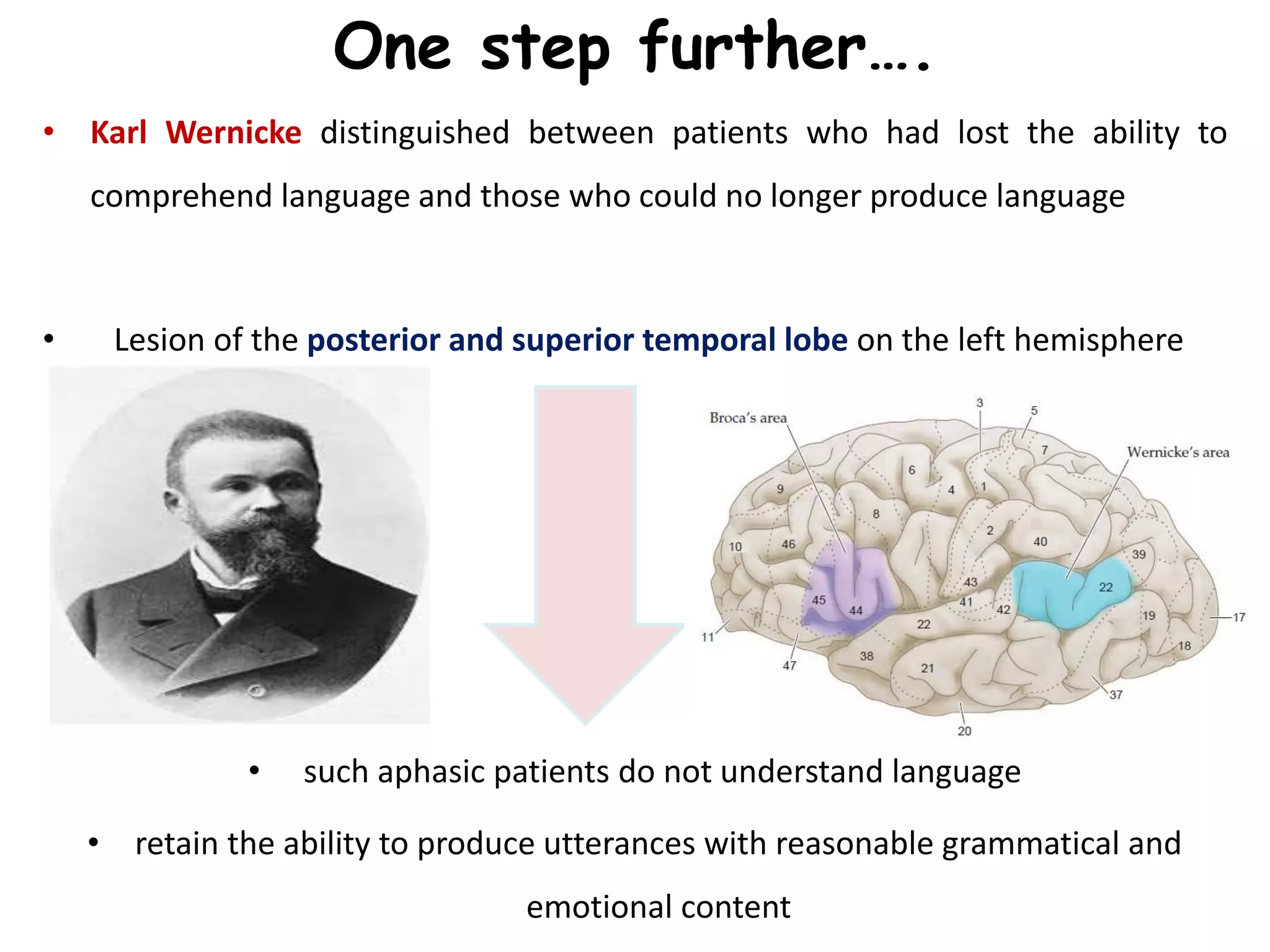 Cerebral dominance and language | PPTX
