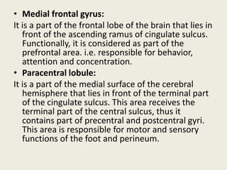 Cerebral hemisphere | PPTX