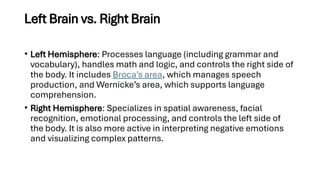 Cerebral lateralization biopsychology.pptx