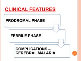 Cerebral malaria lec | PPTX