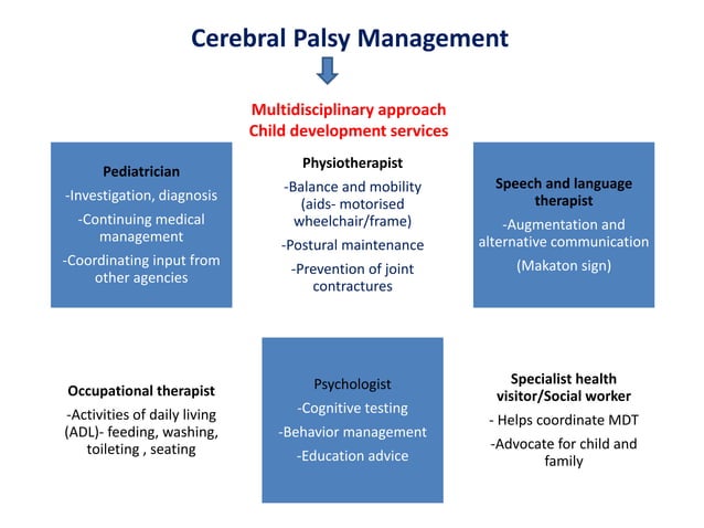 Cerebral palsy | PPTX | Brain and Nervous System Disorders | Diseases ...