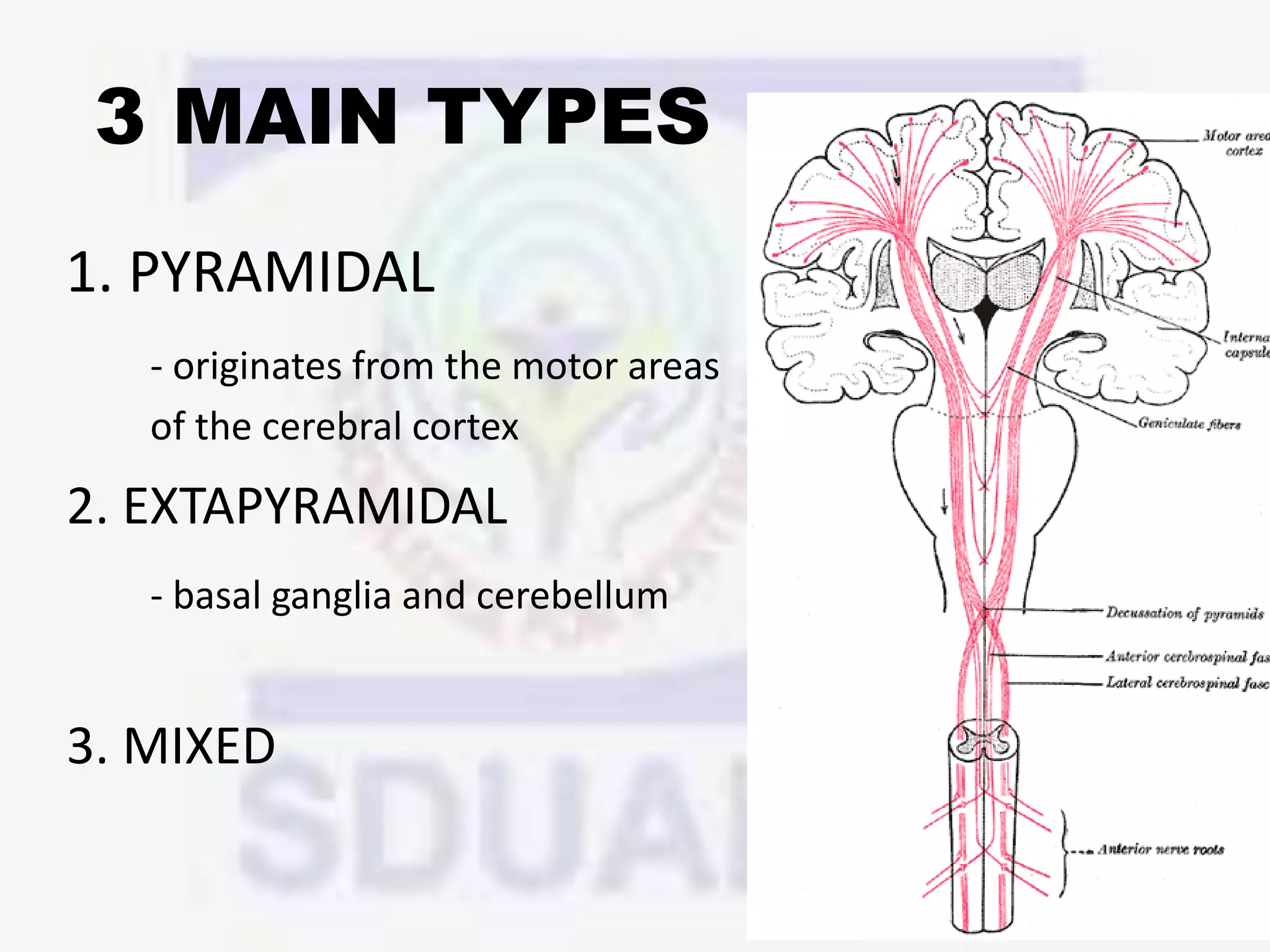 Cerebral palsy classification | PPTX