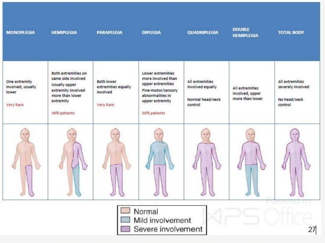 Cerebral palsy classification