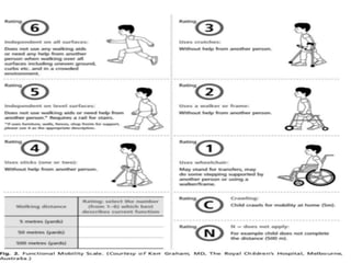 Cerebral palsy classifications | PPTX