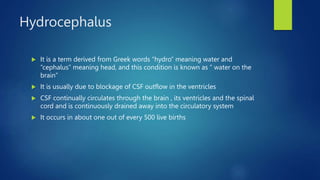 cerebral palsy .ppt