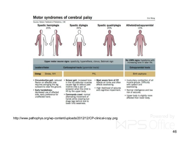 Cerebral palsy- Etiology and Classification