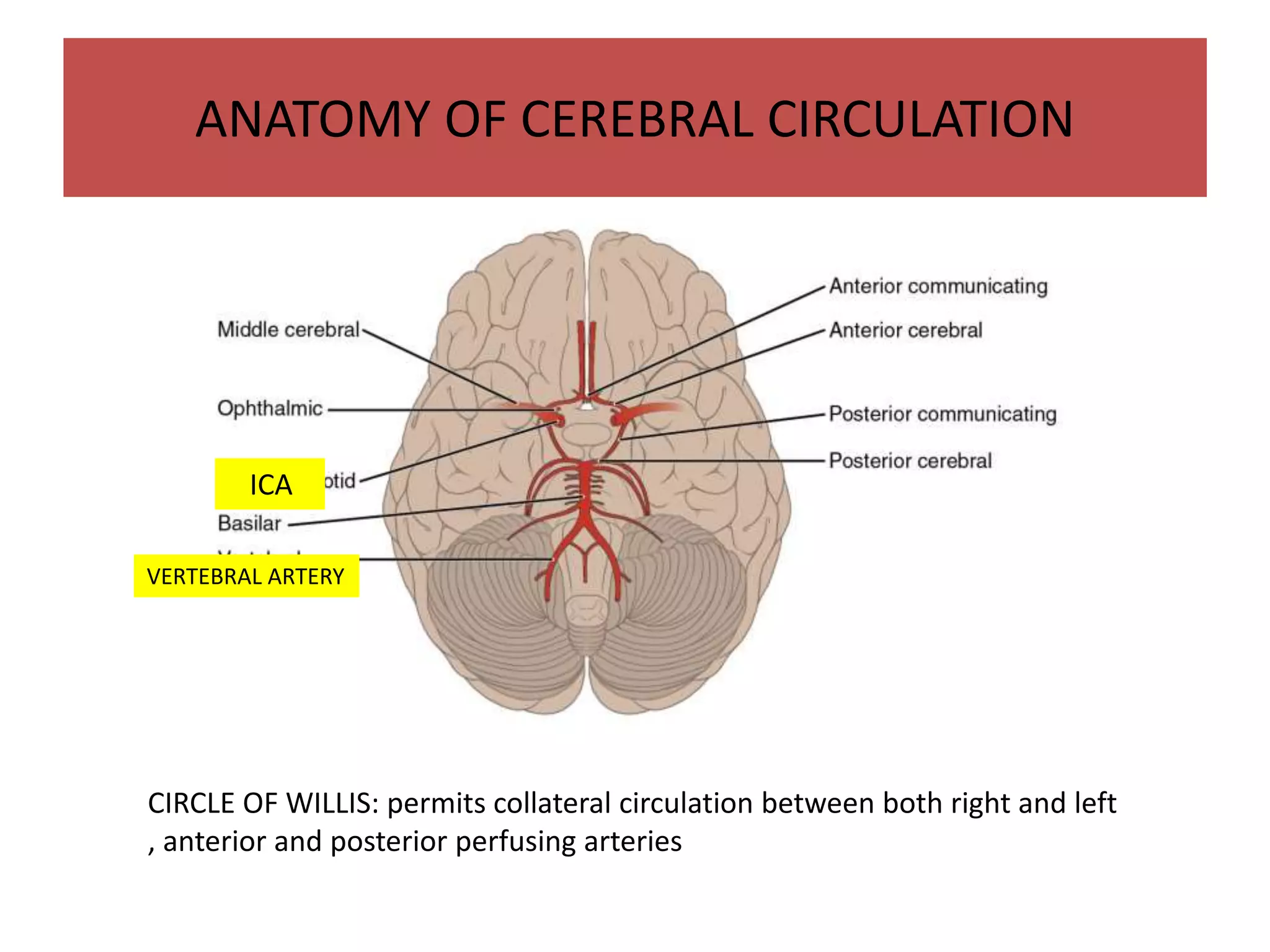 Cerebral physiology and effects of anaesthetic agents | PPTX