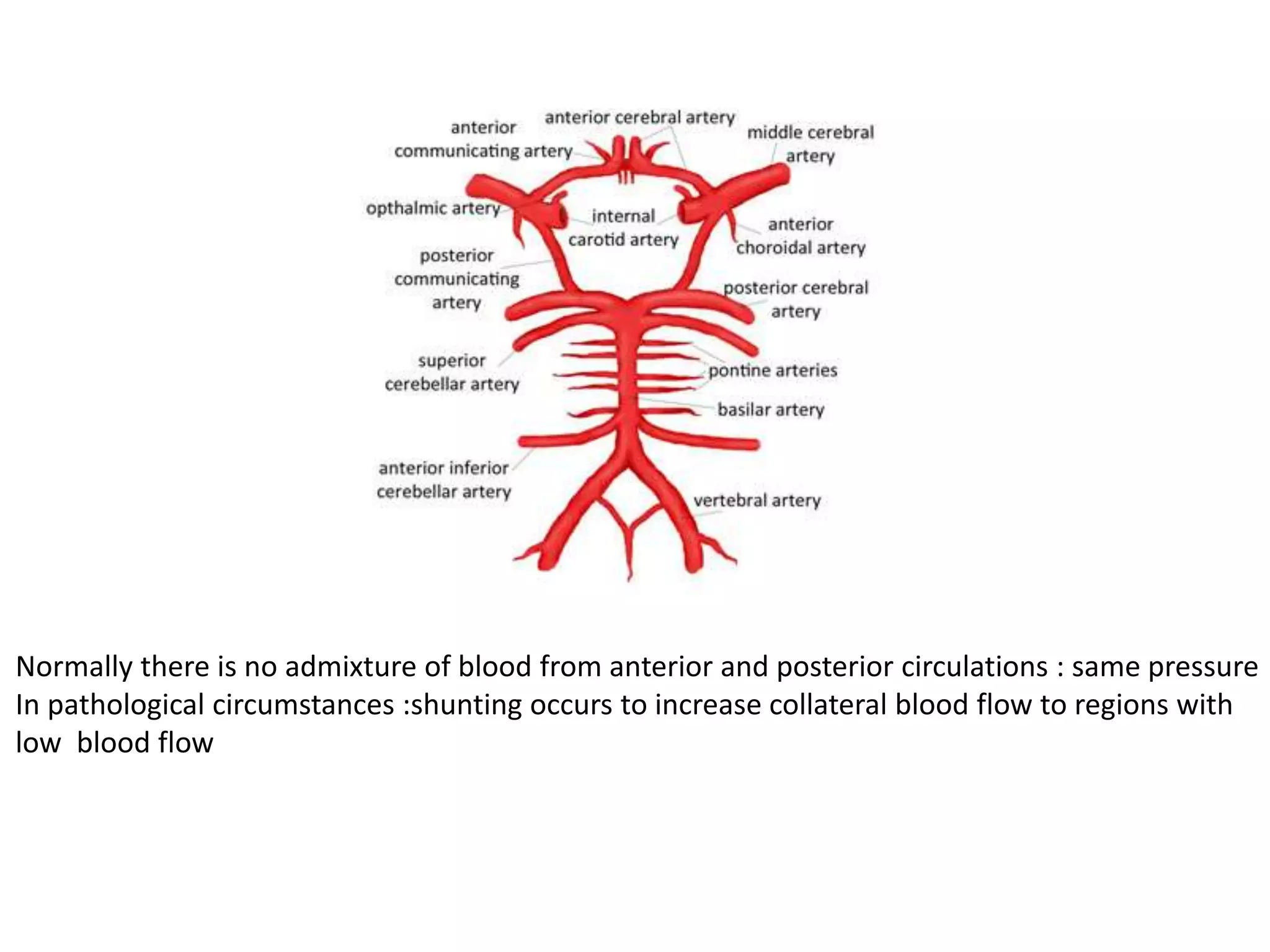 Cerebral physiology and effects of anaesthetic agents | PPTX