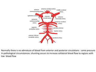 Cerebral physiology and effects of anaesthetic agents | PPTX
