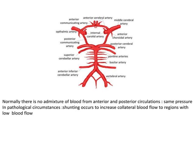 Cerebral physiology and effects of anaesthetic agents | PPTX
