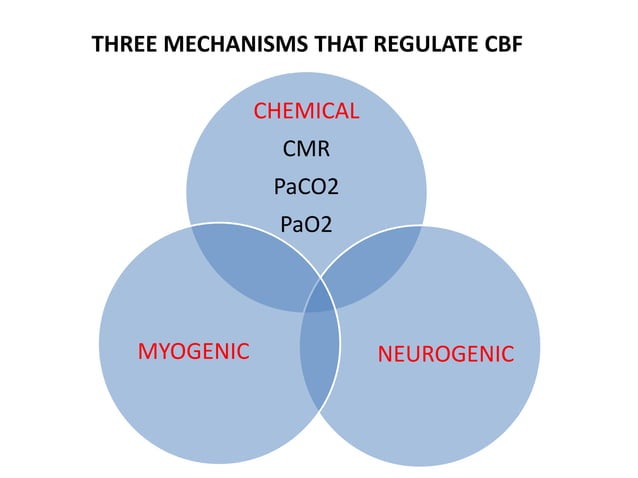 Cerebral physiology and effects of anaesthetic agents | PPTX