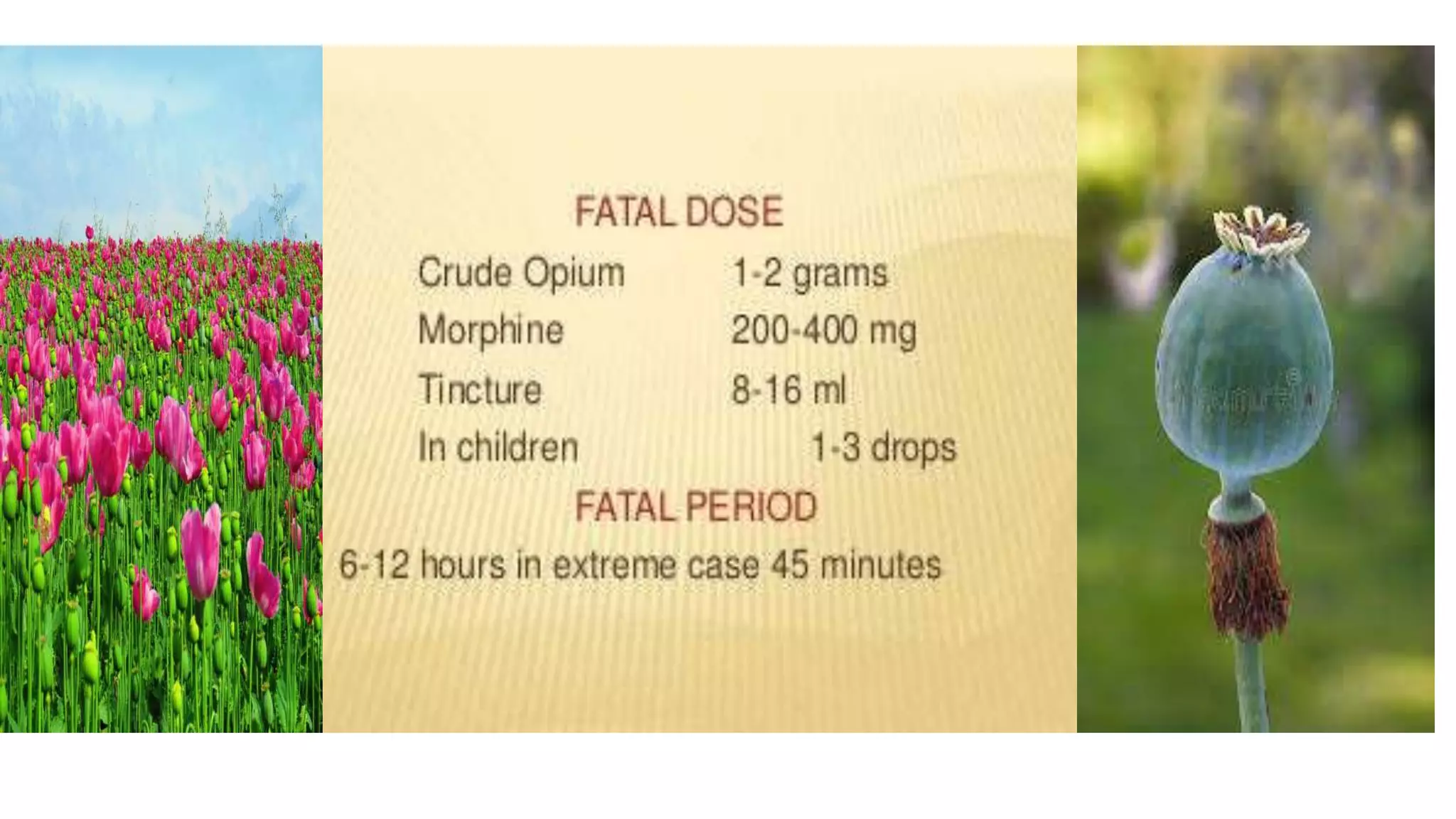 Cerebral Poisoning-Opium.pptx