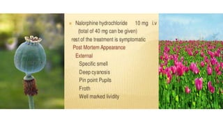 Cerebral Poisoning-Opium.pptx