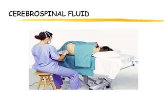 Cerebral Spinal Fluid.pptx