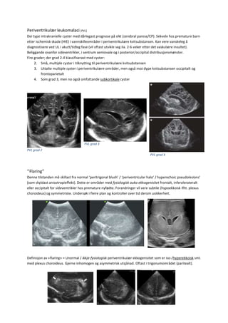 Cerebral ultralyd | PDF