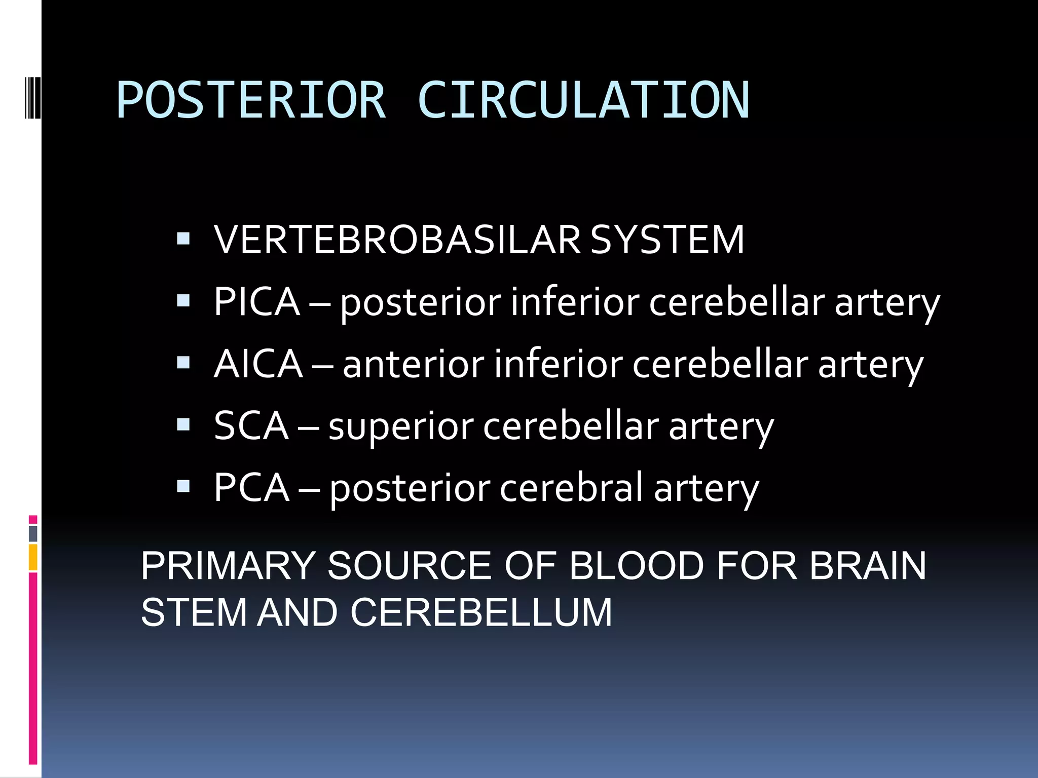 Cerebral Vascular Lecture | PPTX