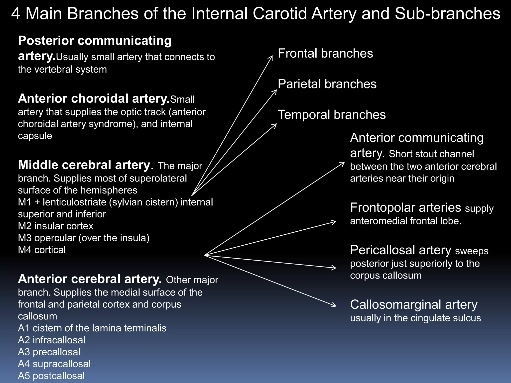 Cerebral Vascular Lecture | PPTX