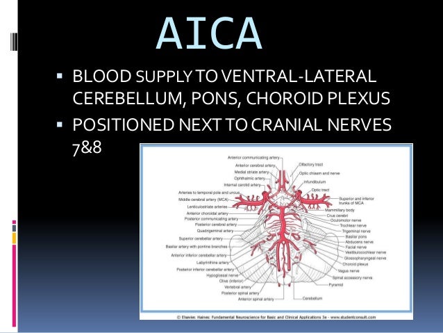 Cerebral Vascular Lecture