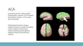 Cerebral Vascular Anatomy and CSF Pathway.pptx