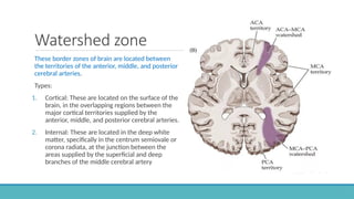 Cerebral Vascular Anatomy and CSF Pathway.pptx