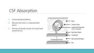 Cerebral Vascular Anatomy and CSF Pathway.pptx