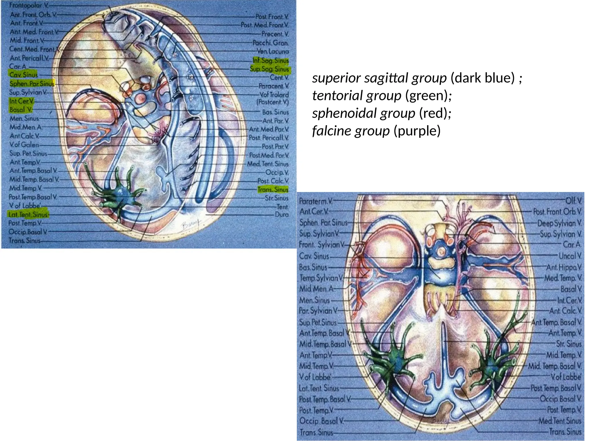Cerebral hemisphere and Lateral ventricular Venous Anatomy | PPT