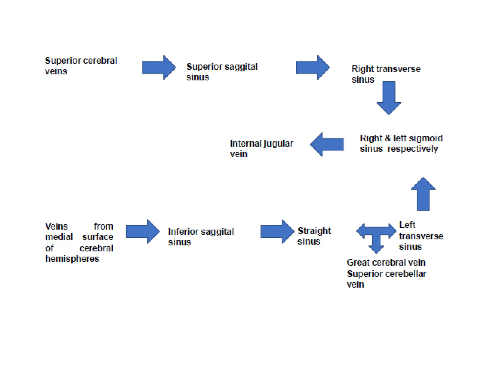 Cerebral hemisphere and Lateral ventricular Venous Anatomy | PPT