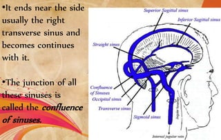 Cerebral venous sinuses | PPT