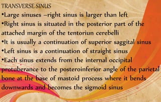 Cerebral venous sinuses | PPT