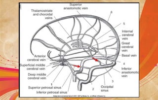Cerebral venous sinuses | PPT