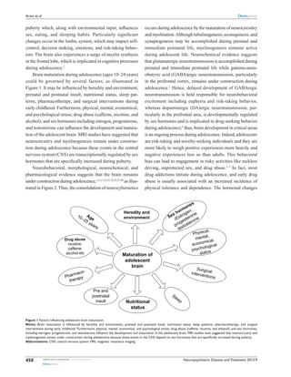 Cerebro adolescente | PDF