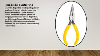 Cerebro de pollo | PPT