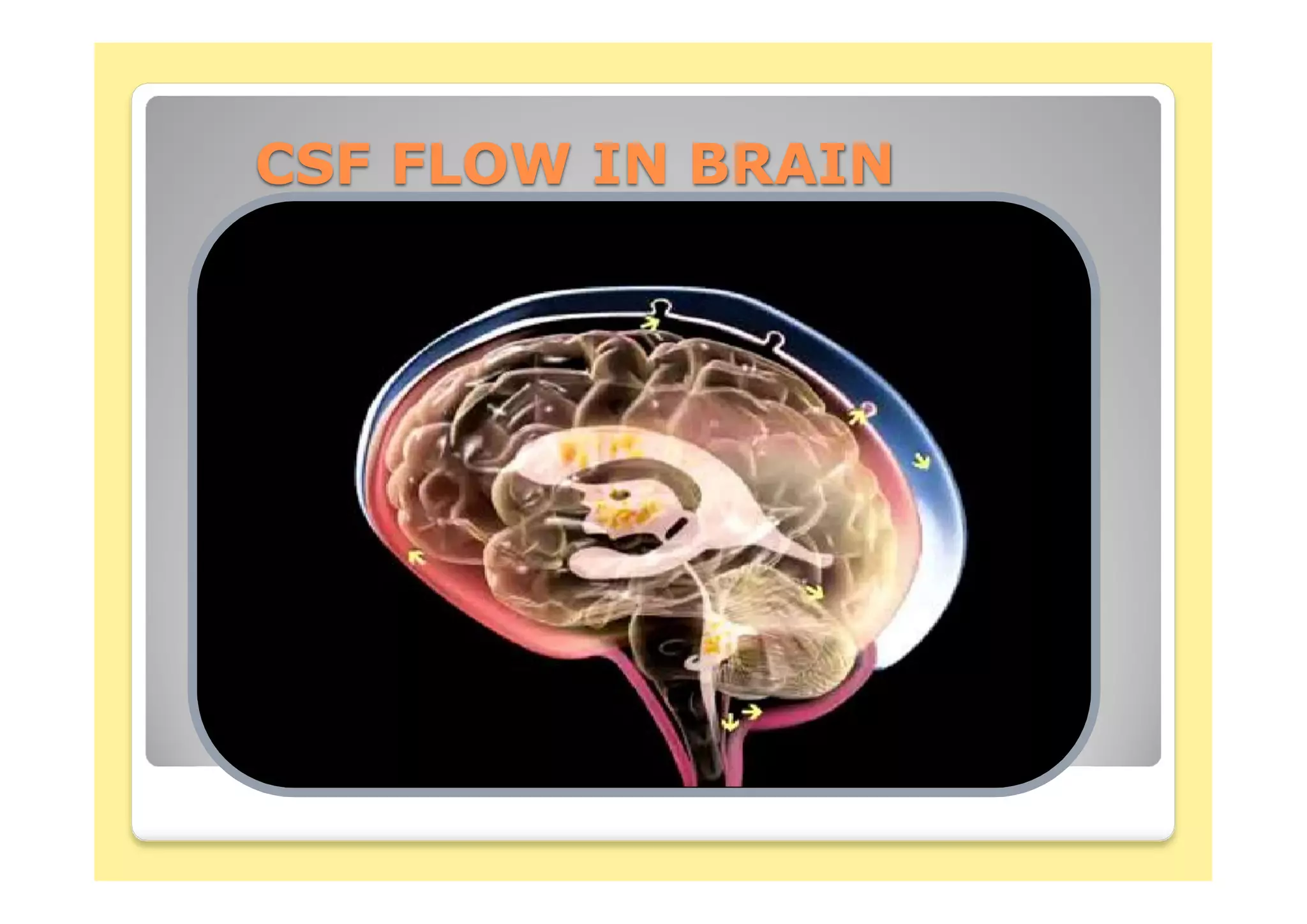 Cerebrolspinal fluid (csf) and management of increased intracranial ...