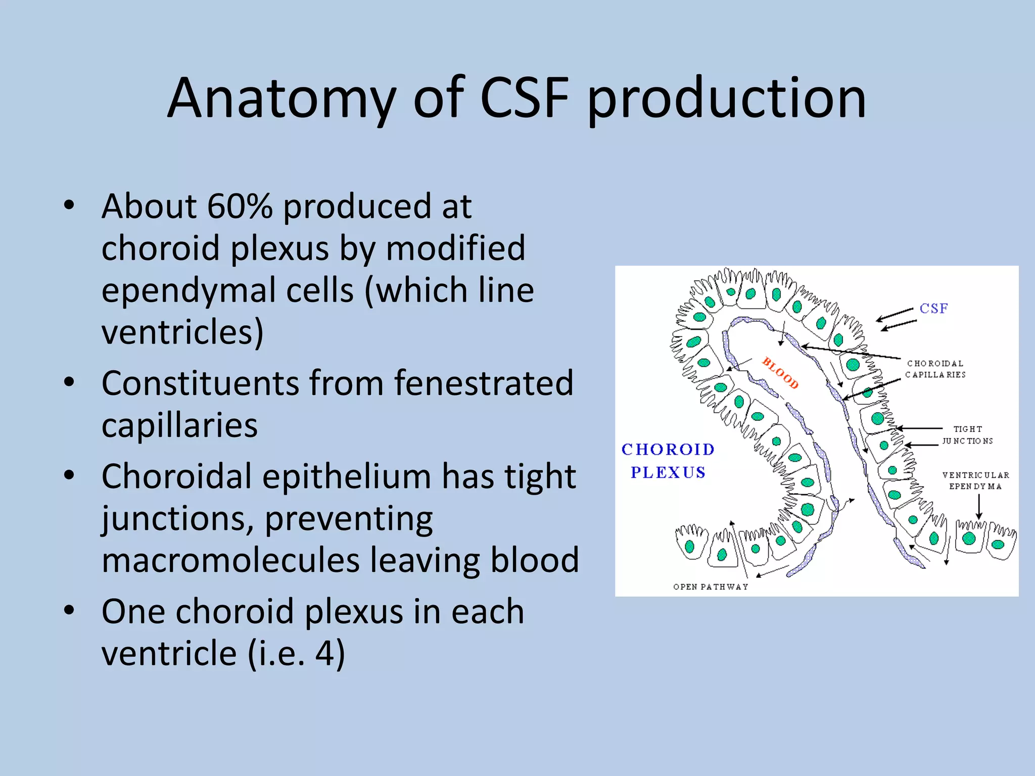 Cerebrospinal fluid (CSF) and interpreting lumbar puncture | PPTX