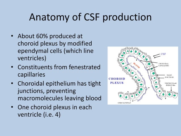 Cerebrospinal fluid (CSF) and interpreting lumbar puncture | PPTX