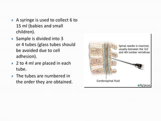 Cerebrospinal fluid | PPTX
