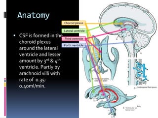 Cerebrospinal fluid | PPTX