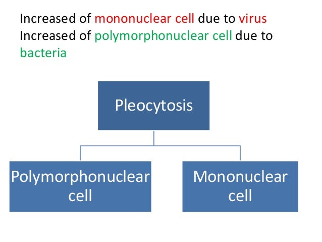 PLEOCYTOSIS